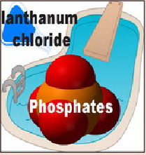 CYA reducers, phosphate removers - Service Industry News