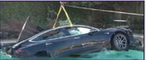 Woman dies after crashing Tesla in pool - Service Industry News