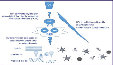 Advanced oxidation processes — AOP